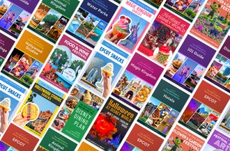 DFB EVERYTHING Bundle – DFB Store