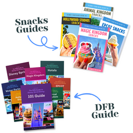 DFB Guide & Snacks Bundle – DFB Store