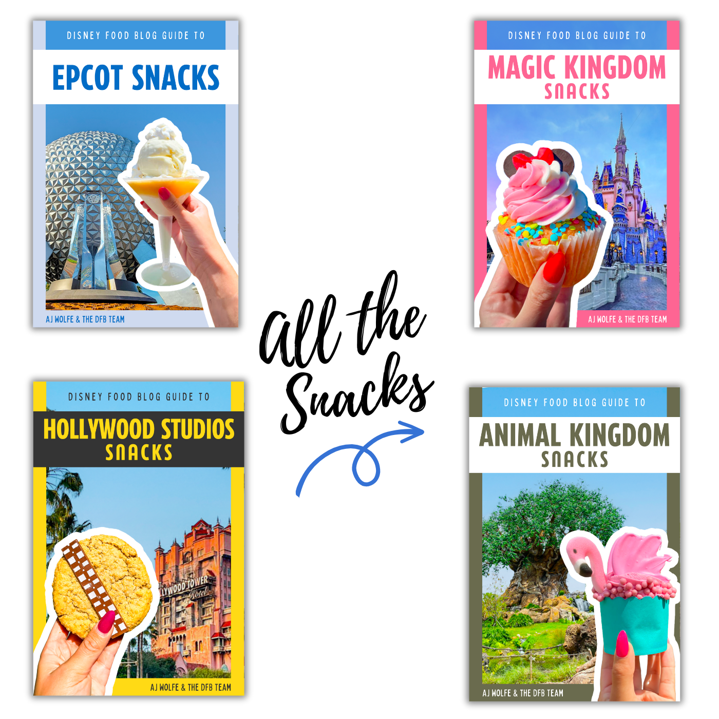 DFB Guides – DFB Store