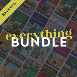 DFB EVERYTHING Bundle – DFB Store