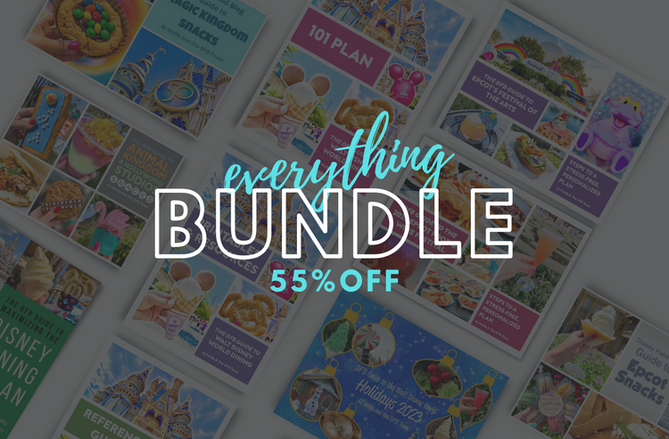 DFB Store | Disney Food Blog Guides & Merch