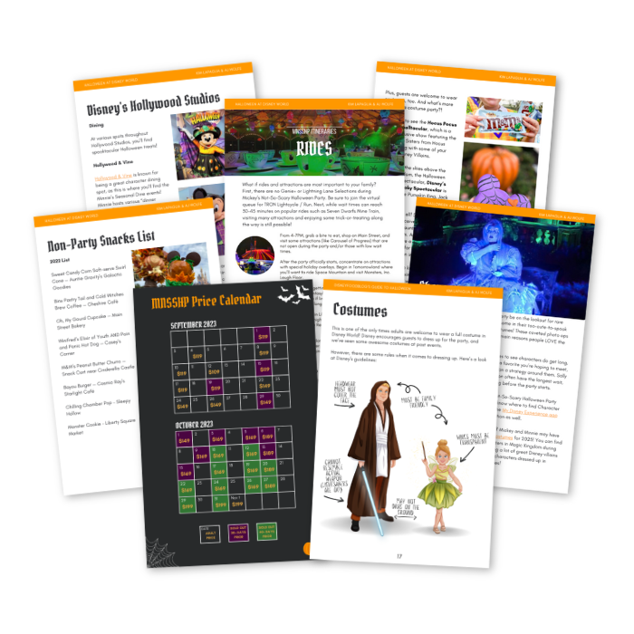 Halloween at Disney World: DFB's Spook-tacular Guide – DFB Store