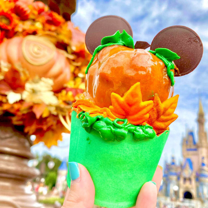 Halloween at Disney World: DFB's Spook-tacular Guide – DFB Store